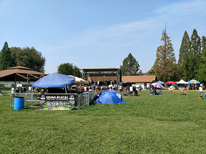 Community gatherings under blue skies &ndash; where live music, local food, and neighborly connections happen without needing a second job to afford the tickets.