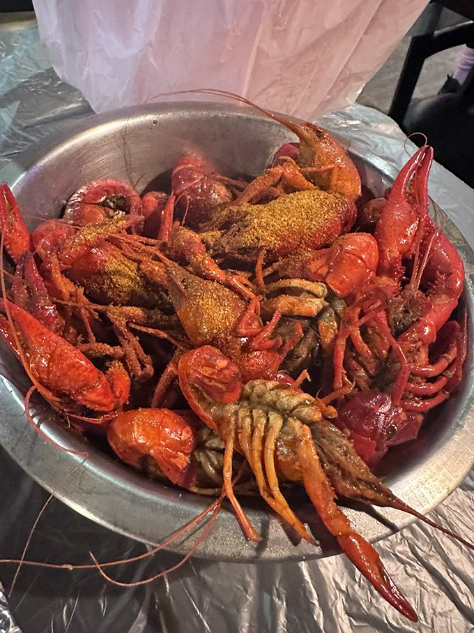 The main event: crawfish in all their glory. These little red creatures demand respect, technique, and a willingness to get messy for greatness.