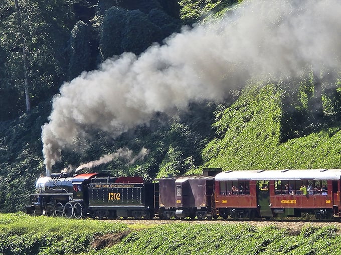 Distance shots reveal how the train threads through valleys like someone finally found the perfect scenic route through paradise.