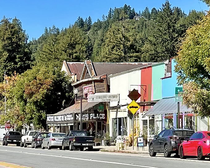 The multicolored storefronts of Boulder Creek's business district. A rainbow of commerce that proves small towns don't have to be beige to be authentic.