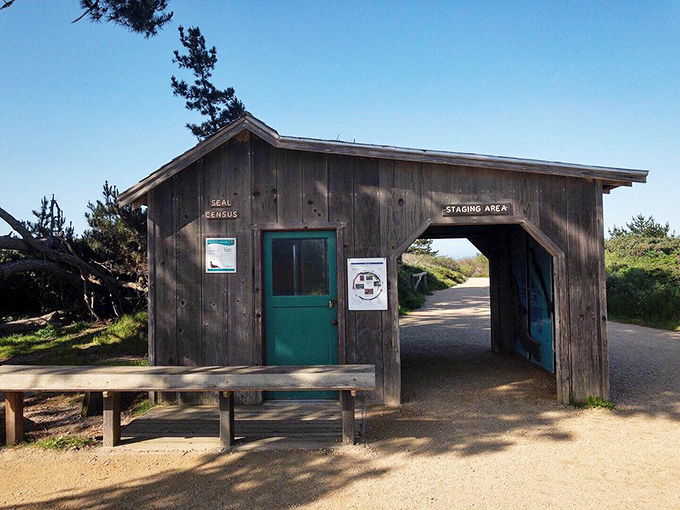 This unassuming staging area marks the gateway to wildlife encounters that will have you forgetting to check your phone for hours.