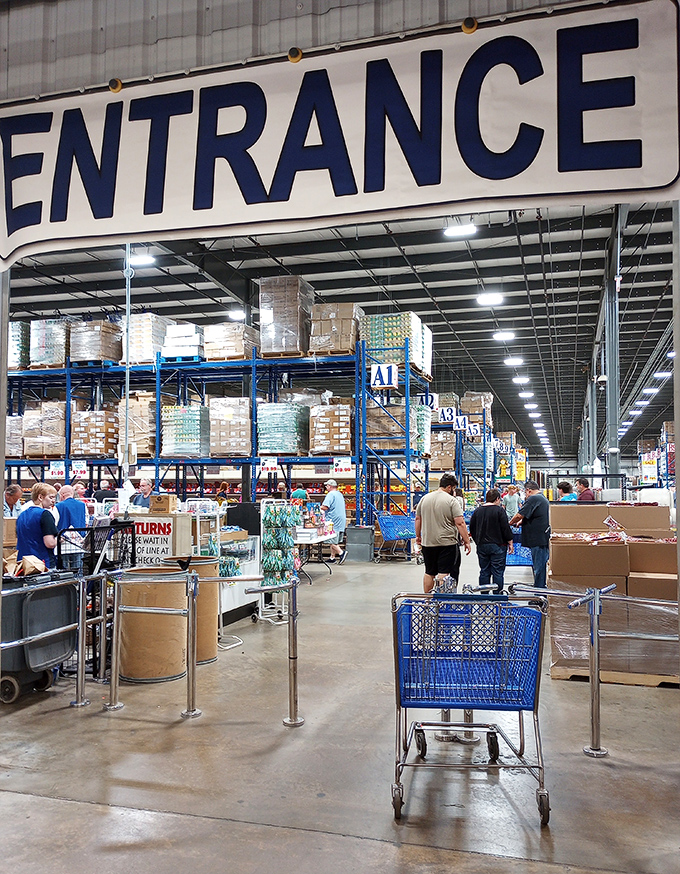 The entrance&mdash;where shopping carts wait like chariots ready to transport you into a discount adventure. That "ENTRANCE" sign might as well say "Abandon budget constraints, all ye who enter here."