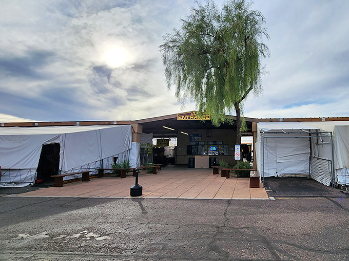 The unassuming entrance to Mesa Market Place belies the wonderland within—like finding a secret portal to a bargain dimension under Arizona skies.