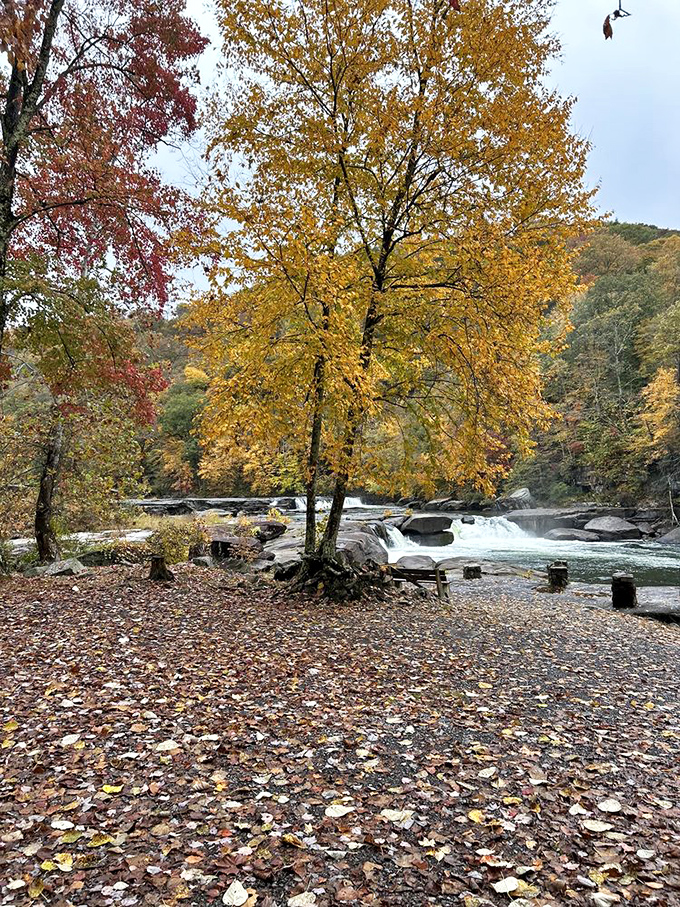 Fall at Valley Falls is nature's grand finale&mdash;a standing ovation of color before winter's quiet intermission begins.