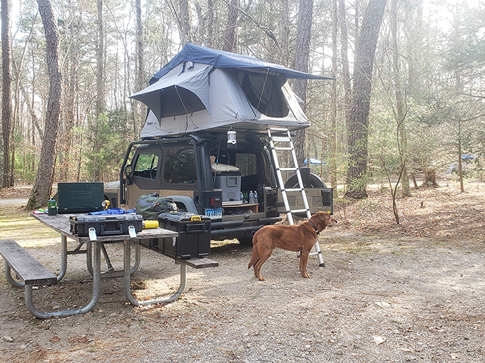 Base camp for those who think "roughing it" should still include a decent cup of morning coffee.