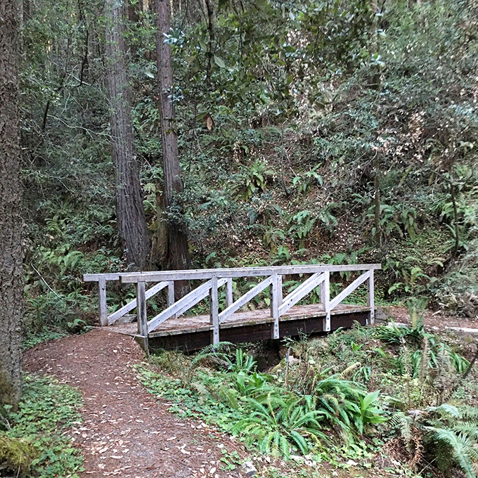 Crossing over to serenity. Salt Point's rustic footbridges connect not just trails, but visitors to a more peaceful state of mind.
