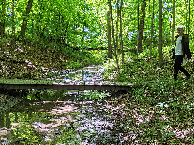 Nature's version of a stepping stone puzzle &ndash; cross this stream without getting wet and you've earned your unofficial Illinois explorer badge.