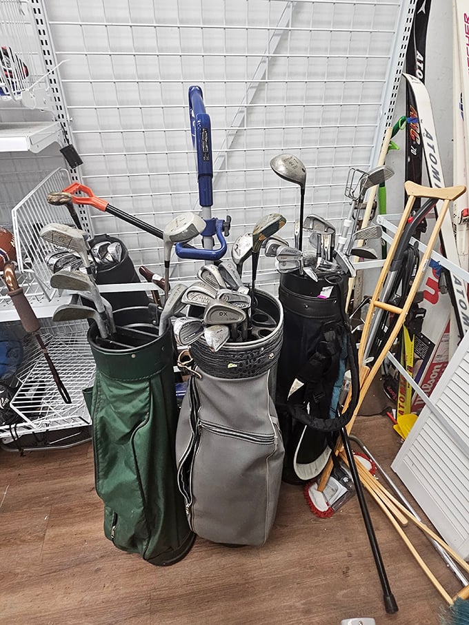 Golf clubs waiting for their next round. Perfect for beginners, weekend warriors, or creative garden stake solutions.