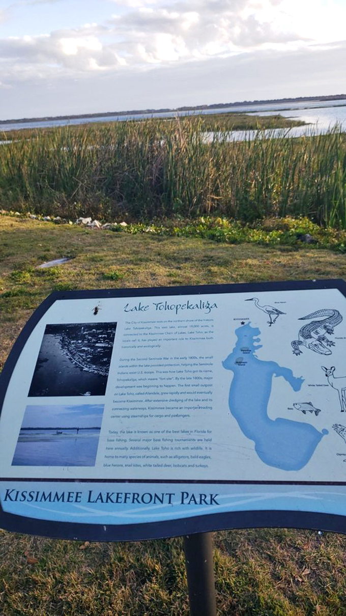 Educational signage reveals Lake Tohopekaliga's rich ecosystem&mdash;home to alligators, bald eagles, and countless Florida stories.
