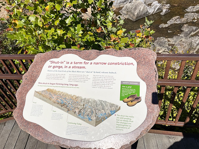 Nature's own geology lesson! This interpretive sign explains how a billion years of patient water carved these magnificent shut-ins, while politely suggesting proper footwear.