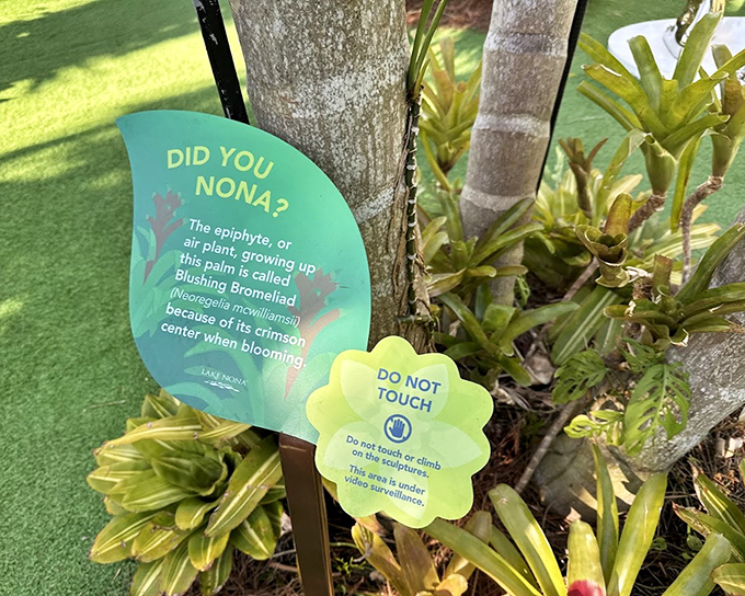 Educational signage throughout the garden offers fascinating botanical insights, proving this isn't just about visual art—it's a full sensory learning experience.