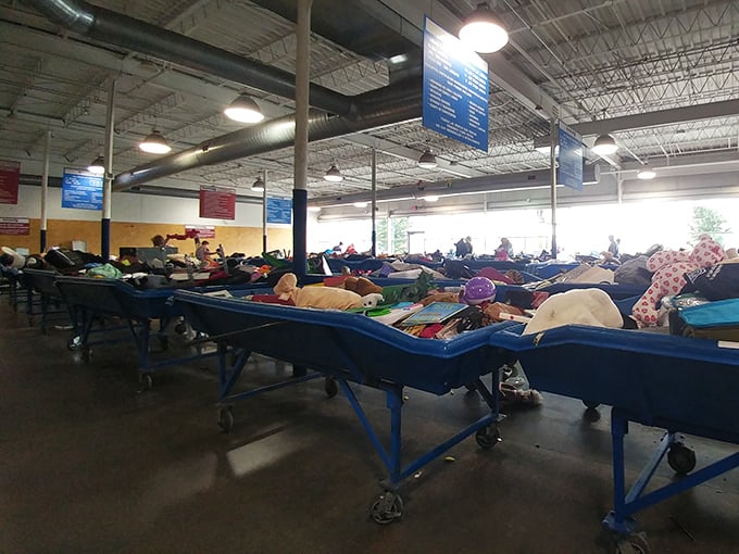 The grand panorama of possibility&mdash;row after row of blue bins stretching toward thrifting nirvana in this Omaha treasure temple.