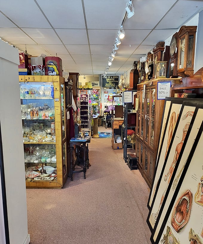 Aisles that stretch on forever, each turn revealing treasures you didn't know you needed until now.