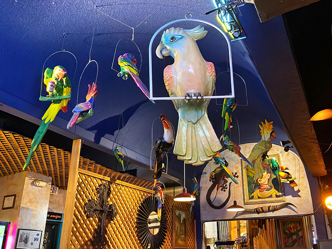 These hanging parrots have seen it all &ndash; from first dates to family celebrations &ndash; all united by the universal "wow" face that follows the first bite.