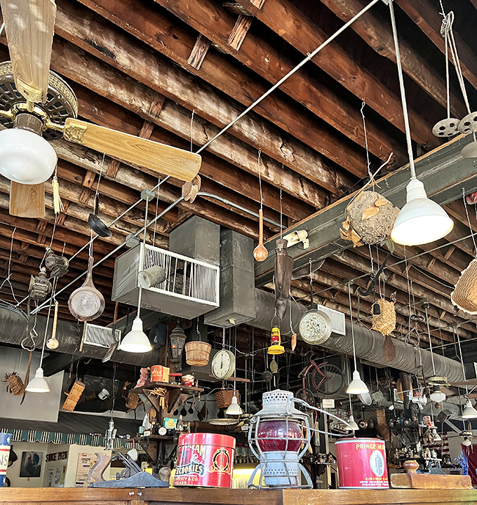 Look up and wonder: is that ceiling actually load-bearing, or is it held up by pure Southern charm and vintage collectibles?