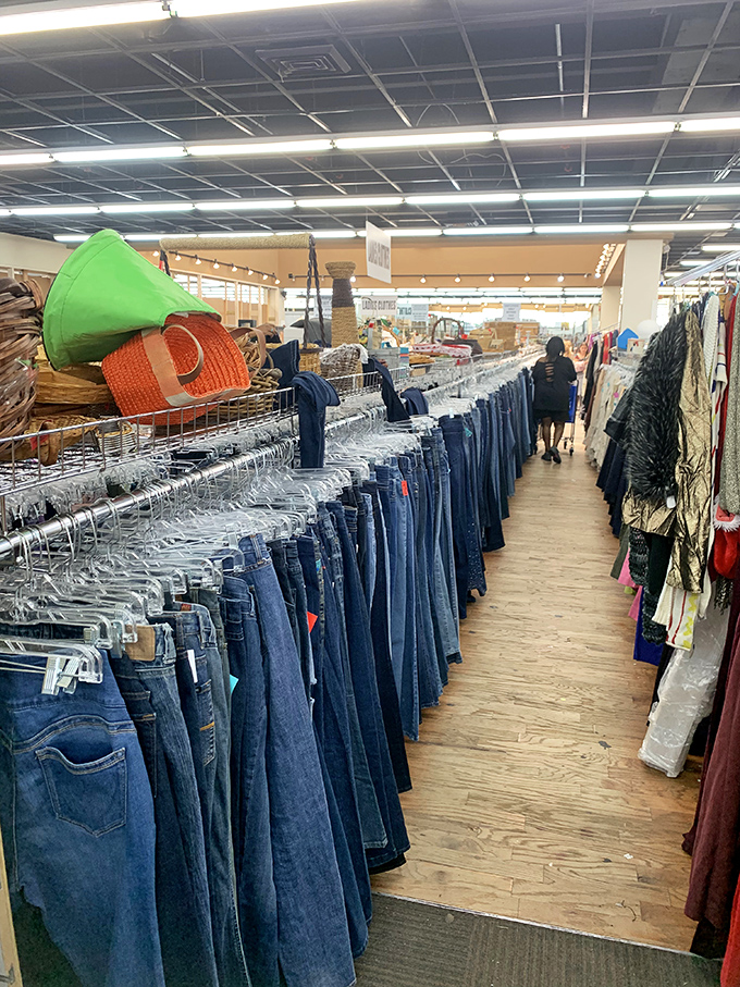 Denim for days! This meticulously organized jean collection proves that thrifting isn't just economical&mdash;it's the sustainable fashion choice your wallet and planet will thank you for.