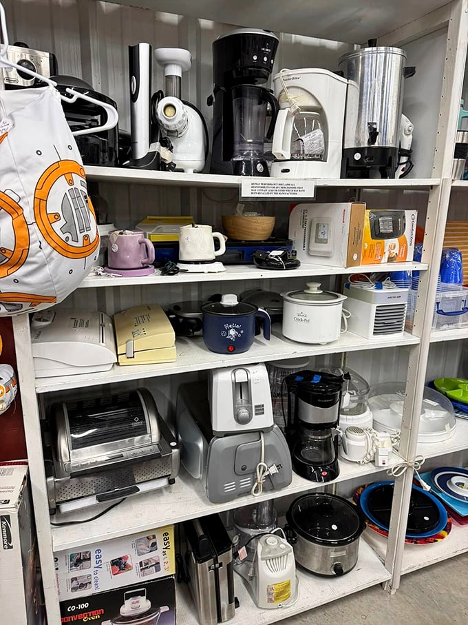 The small appliance section&mdash;where kitchen dreams and good intentions find second homes at prices that won't toast your budget.
