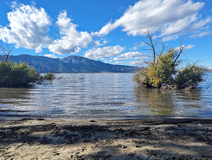 The lake's edge reveals its moody personality. When water meets shore, Washoe creates a boundary that's never quite the same twice.