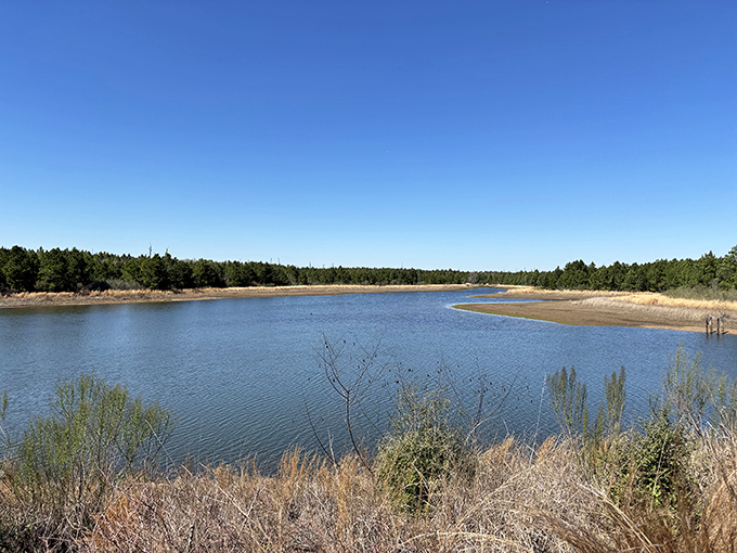 The lake stretches out like nature's welcome mat, inviting you to forget deadlines and remember what matters. Pure Bastrop bliss.