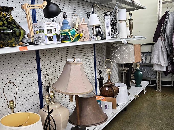 Lamp lovers rejoice! From mid-century modern to traditional styles, lighting options abound at bargain prices.