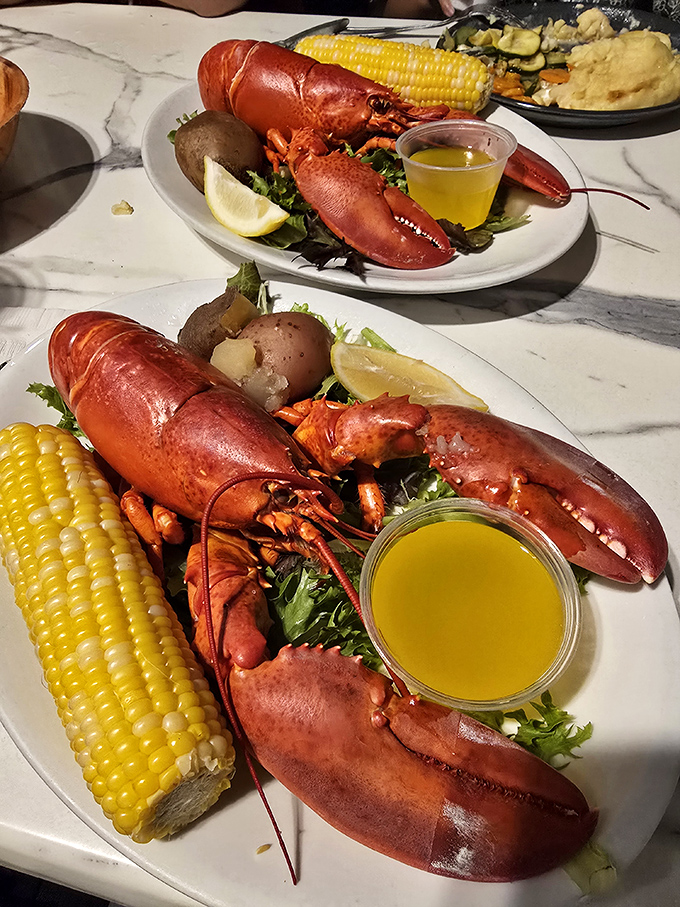When lobsters dress for dinner, they wear lemon wedges and corn on the cob. The ultimate Cape Cod formal attire!