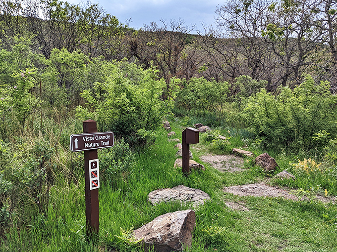 The Vista Grande Nature Trail sign points toward adventure. Like following breadcrumbs into a fairytale, except the ending is guaranteed happy.