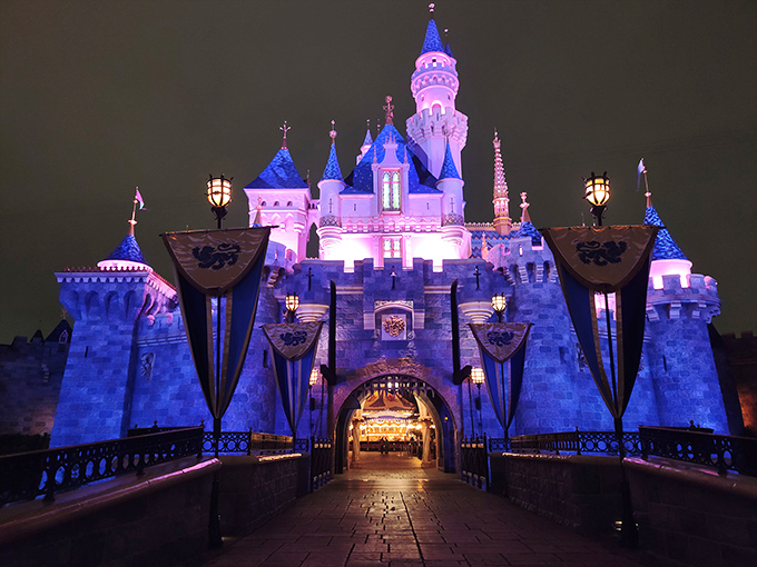 The castle transforms at nightfall into a luminous beacon of blue and purple magic that defies cynicism.