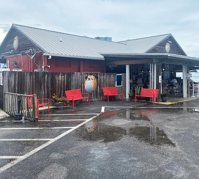 Red benches outside invite you to sit, relax, and contemplate the important decision of what to order.