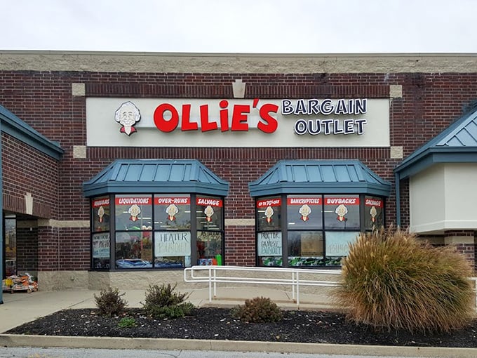 The iconic Ollie's storefront, complete with the company's mascot, has become a beacon for bargain hunters throughout Indiana and beyond.