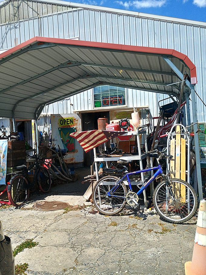 The outdoor overflow area proves treasures can't be contained by mere walls. Even the bicycles look like they're telling each other stories.