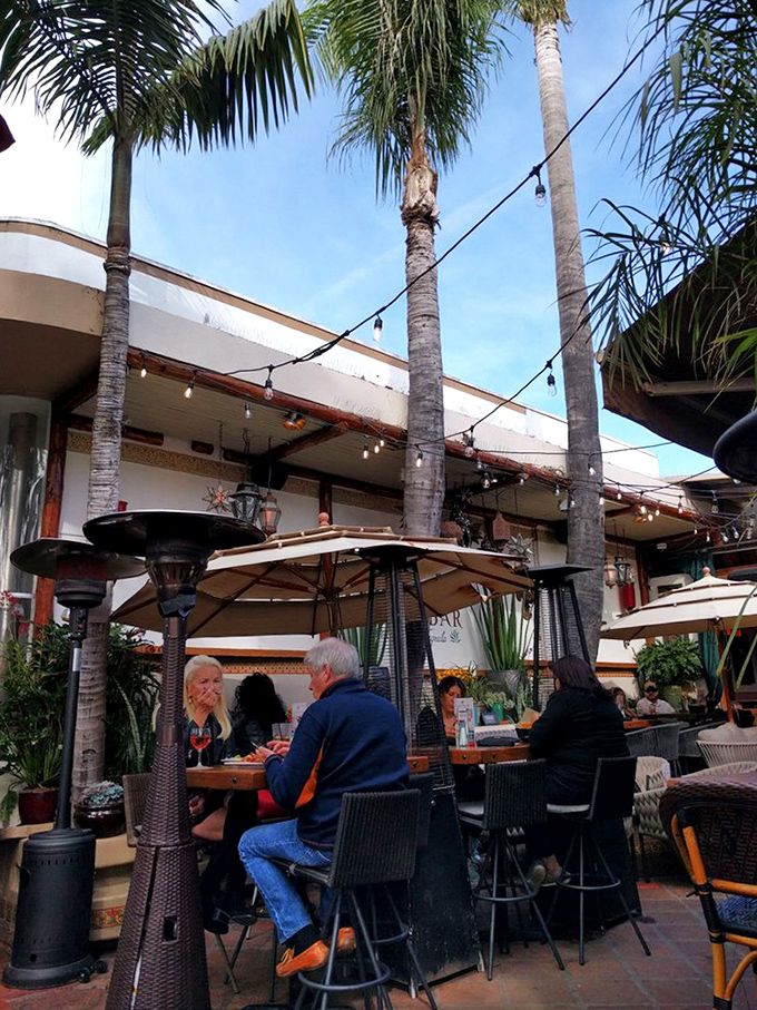 The outdoor patio, with its towering palms and string lights, transforms ordinary Tuesday dinners into mini-vacations without the TSA pat-down.