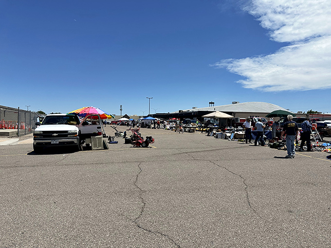 When the treasures can't be contained indoors, they spill into the sunshine—a parking lot transformed into opportunity boulevard.