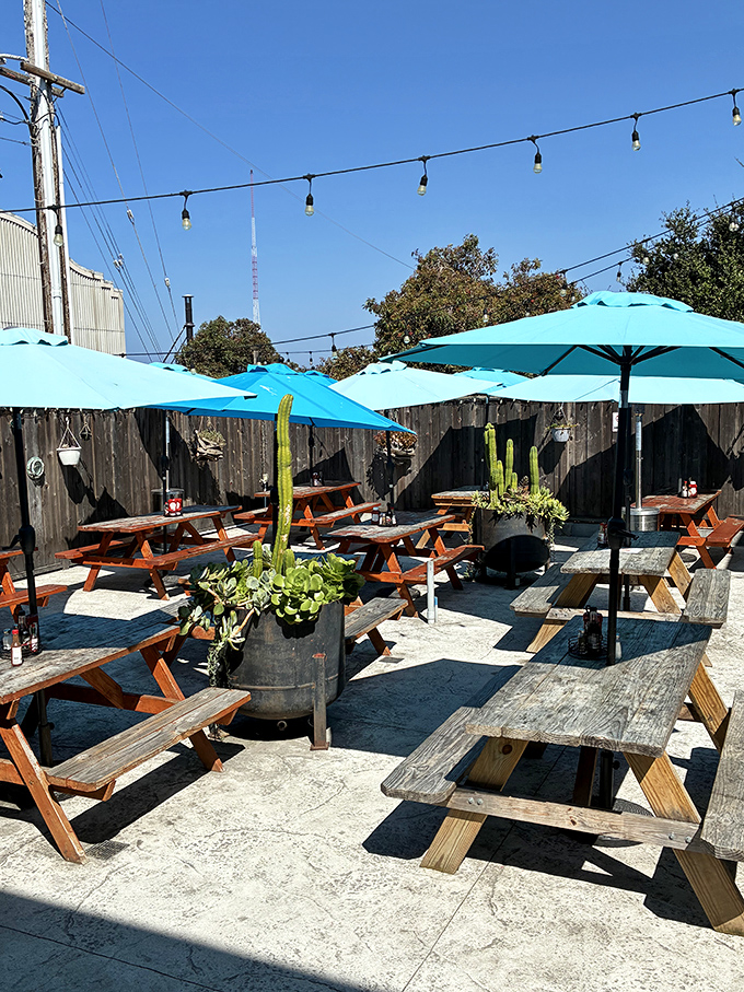 The outdoor seating area&mdash;where seafood meets sunshine. Those weathered picnic tables have hosted more memorable meals than many five-star restaurants.