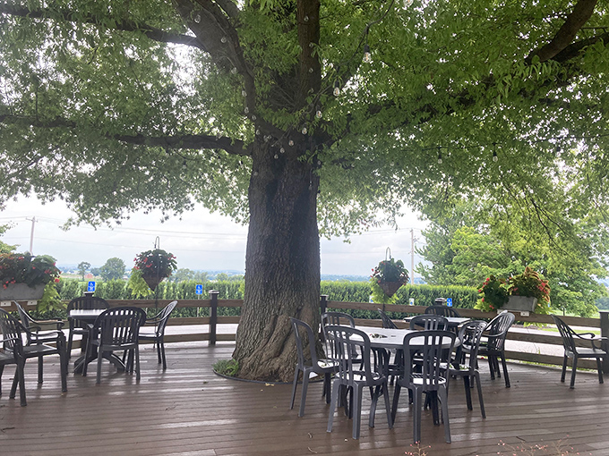 The outdoor seating area embraces a magnificent tree, creating nature's dining room. Pennsylvania's rolling countryside provides the perfect backdrop for al fresco meals.