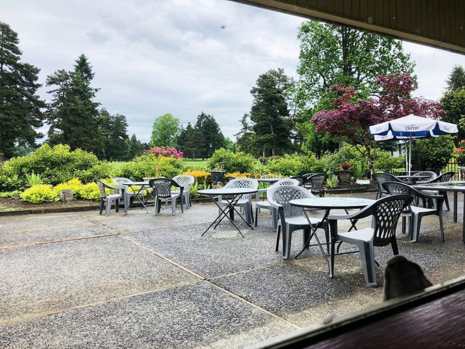 Outdoor seating surrounded by lush greenery. Where breakfast with a view isn't just a saying&mdash;it's the daily special.
