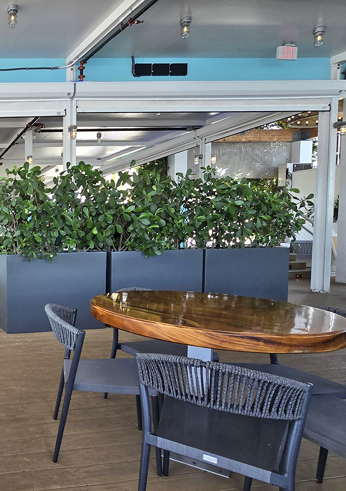 A touch of greenery brings the outside in, creating a peaceful corner where you can contemplate whether to order dessert (spoiler: yes).