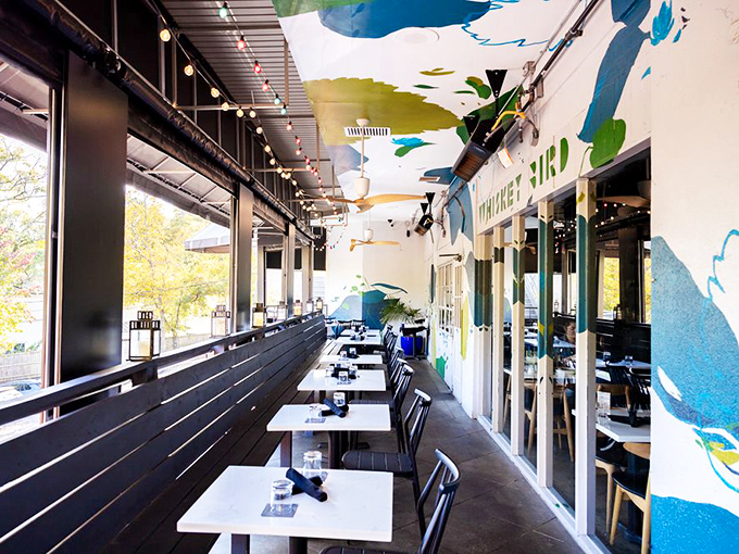 The outdoor patio brings the restaurant's vibrant blue palette into the sunshine, offering al fresco dining with artistic flair.