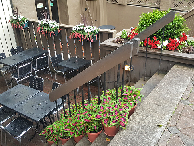 Outdoor seating where flowers compete with the food for attention, and somehow everybody wins.