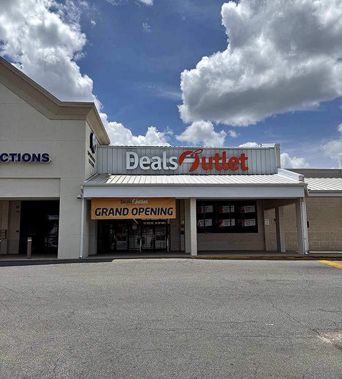 Under Florida's blue skies, this unassuming storefront houses retail adventures that would make Indiana Jones trade his whip for a shopping cart.