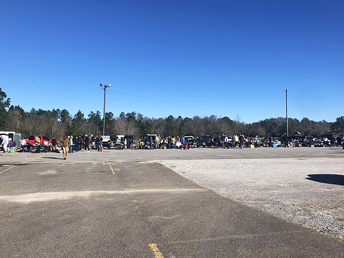 The early morning gathering of the treasure-hunting tribe. Veterans know the best finds happen in the first hour when the parking lot is still filling up.