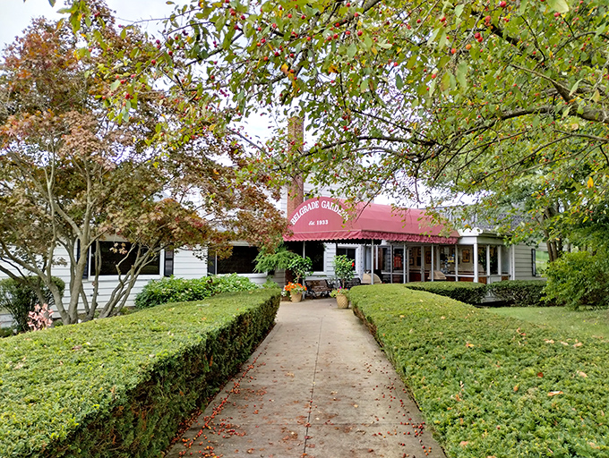 The approach to Belgrade Gardens feels like a pathway to pleasure, with landscaping as carefully maintained as their cherished recipes.