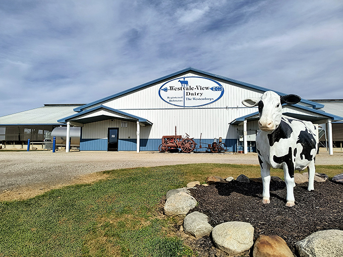 The dairy farm that started it all &ndash; where happy cows and blue skies create the perfect backdrop for ice cream pilgrims seeking creamy enlightenment.