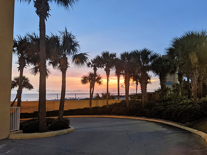 The view beyond the palms hints at why Mike's seafood tastes so fresh—the Gulf of Mexico is practically close enough to cast a line.