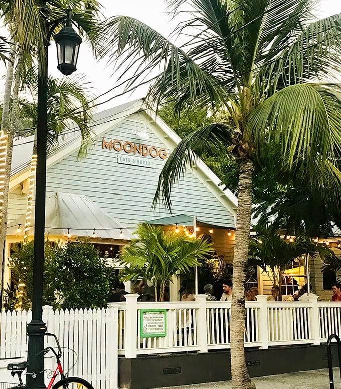 As evening approaches, Moondog's exterior glows with invitation&mdash;palm trees frame the scene like nature's own welcome committee to this slice of Key West paradise.