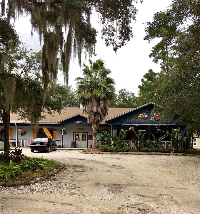 Nestled among Spanish moss and palm trees, this blue haven feels discovered rather than visited. The gravel parking lot says "hidden gem" in the best possible way.