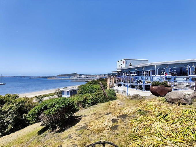 The restaurant perches on the coastline like a seabird ready to dive, except instead of catching fish, it's serving them perfectly prepared.