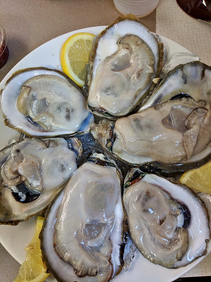These plump oysters aren't just served; they're presented like the coastal treasures they are&mdash;briny, beautiful, and begging to be slurped. 