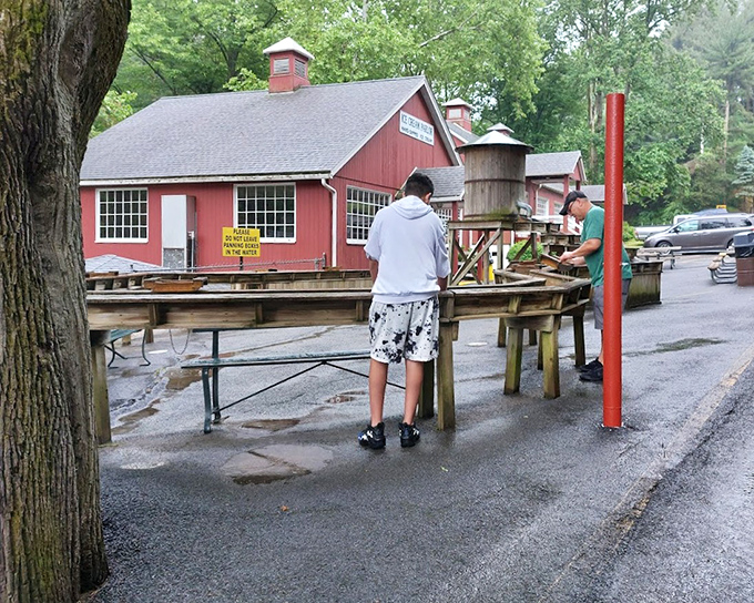 Modern-day prospectors try their luck at gem panning, proving that the thrill of discovery never goes out of style.