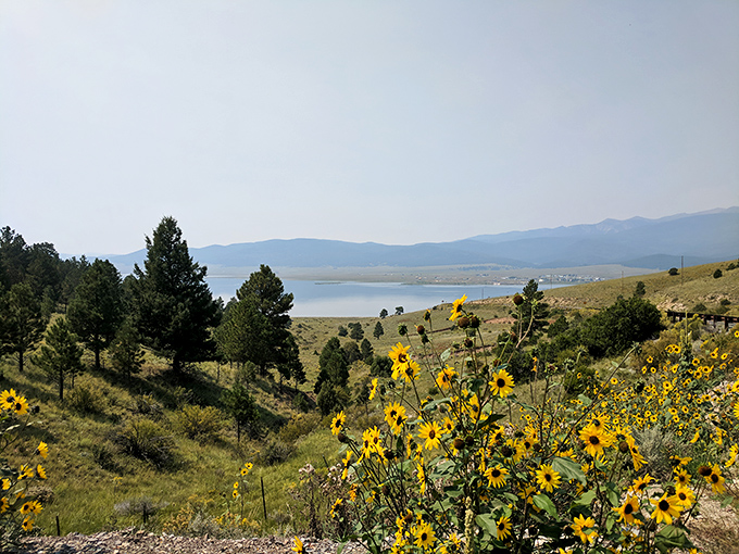 Eagle Nest Lake shimmers in the distance while sunflowers stand as nature's welcoming committee, proving that New Mexico does hospitality naturally.