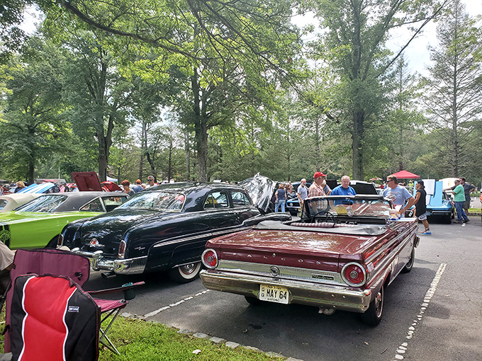 Classic cars gather under ancient trees, chrome gleaming in dappled sunlight. Automotive time capsules that make modern vehicles look like appliances with wheels.